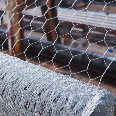China Galvanized Chicken Hexagonal Wire Mesh Fencing Poultry Netting for sale