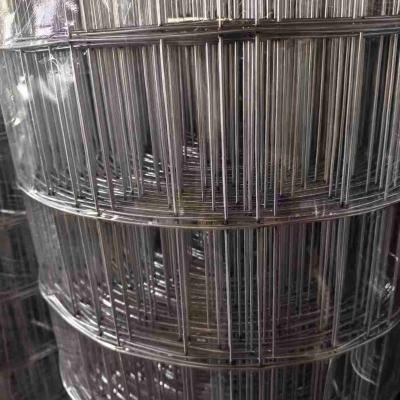 China 304 Stainless Steel Welded Wire Mesh Is Used In Pigsties And Sheep Pens for sale