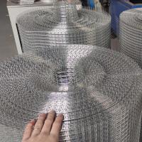 China Galvanized Steel Welded Wire Mesh for Construction Reinforcement and Fencing for sale