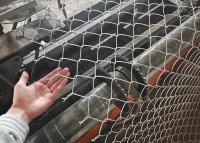 China 304 Stainless Steel Chain Link Netting For Coastal Protection And Industrial Safety for sale