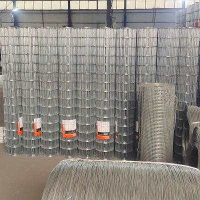 China 304 Grade Stainless Weld Mesh For Animal Cage for sale