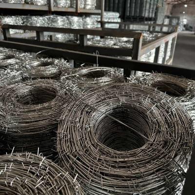 China 316 Stainless Steel Hot Dipped Galvanized Razor Wire Anti-Climb Boundary Fence for sale