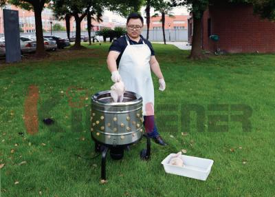 China Small Pro Quail Plucker Bantam Chicken Pigeon Dove Game Hen Poultry Chicken Defeather for sale