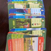 China Super Fun for Travel & Family Game Night Custom design Wholesale OEM VN Supplier Playing cards for sale