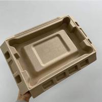 China Custom Moulded Biodegradable Pulp Paper Packaging Insert Tray for sale