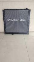 China Authentic Xuande Wing 3 Water Tank Radiator BZ13019803 for sale