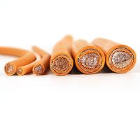China 2 Cores Safety Orange Copper EV Charging Cable 110V-450V 16A 2.5mm2 for Electric Vehicle for sale