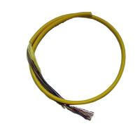 China GJFJV-24B1 All Dielectric Structure MFC Multi Fiber Indoor Optic Cable for Networking for sale
