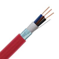 China EN50200 2 Core Fire Alarm Cable PVC Jacket 300/500V PH120 for Africa Market for sale
