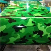 China Prepainted Gi/PPGL Galvanized Steel Coil/Sheet Color Coated Zinc Coated Hot Dipped PPGI for sale