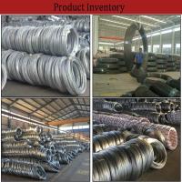 China Low Carbon Steel Wire Rod Zinc Coated Hot Dipped Gi Galvanised Rod Cold Drawn Supply for sale