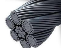 China Durable Steel Cable Carbon Elevator Crane Wire Rope with Galvanized Stainless Steel for sale