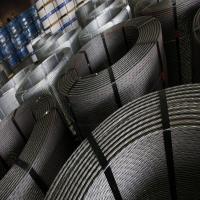 China Round Strand Wire Rope 1*7 7*7 1*19 7*19 6*12 6*19 6*37 FC Iwrc TPU/PVC Customization for sale