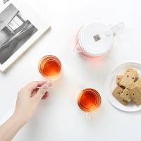 China Green Tea Infuser Kettle Glass Insulated Pot Food Grade Polycarbonate Material for sale