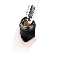 China 300ml Sustainable Double Wall Glass Tea Infuser Travel Cup for sale