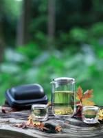 China New Design Samadoyo Portable Travel Bag Tea Set Glass Teapot Two Tea Cups Portable Tea Set with Travelling Bag for sale