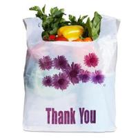 China PE Handle Shopping Merchandise Retail Biodegradable Printed Plastic Vest Carrier Bags for sale