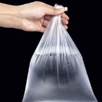 China Medium Household Food Grade Eco Friendly Freezer Bags For Meat Fruit Vegetable for sale