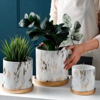 China Cement Ceramic Flower Pot Succulent Planter Cylindrical Shape with Drainage Hole 11cm 14cm 16cm 20cm for sale