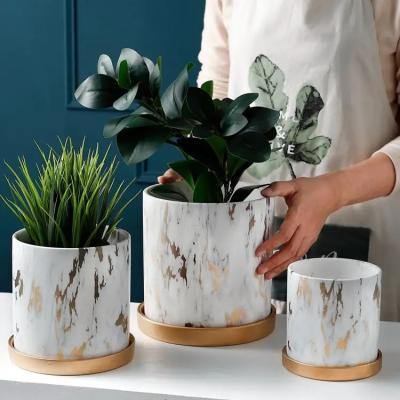 China Cement Ceramic Flower Pot Succulent Planter Cylindrical Shape with Drainage Hole 11cm 14cm 16cm 20cm for sale