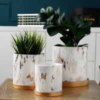 China Cement Ceramic Flower Pot Succulent Planter Cylindrical Shape with Drainage Hole 11cm 14cm 16cm 20cm for sale