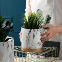 China Cement Ceramic Flower Pot Succulent Planter Cylindrical Shape with Drainage Hole 11cm 14cm 16cm 20cm for sale