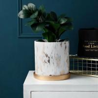 China Cement Ceramic Flower Pot Succulent Planter Cylindrical Shape with Drainage Hole 11cm 14cm 16cm 20cm for sale