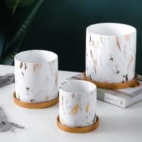 China Cement Ceramic Flower Pot Succulent Planter Cylindrical Shape with Drainage Hole 11cm 14cm 16cm 20cm for sale