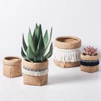 China Ceramic Farmhouse Weave Pattern Flowerpot Set 3 Sizes 10.7cm to 16.5cm for Succulents Mini Plant Pot for sale