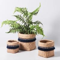 China Ceramic Farmhouse Weave Pattern Flowerpot Set 3 Sizes 10.7cm to 16.5cm for Succulents Mini Plant Pot for sale