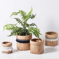 China Ceramic Farmhouse Weave Pattern Flowerpot Set 3 Sizes 10.7cm to 16.5cm for Succulents Mini Plant Pot for sale