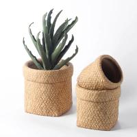 China Ceramic Farmhouse Weave Pattern Flowerpot Set 3 Sizes 10.7cm to 16.5cm for Succulents Mini Plant Pot for sale
