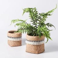 China Ceramic Farmhouse Weave Pattern Flowerpot Set 3 Sizes 10.7cm to 16.5cm for Succulents Mini Plant Pot for sale