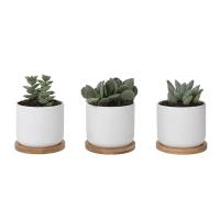 China Set of 3 Ceramic Pots for Plants 4 Inch Succulent Planter with Bamboo Tray White Glazed Flower Pot for sale