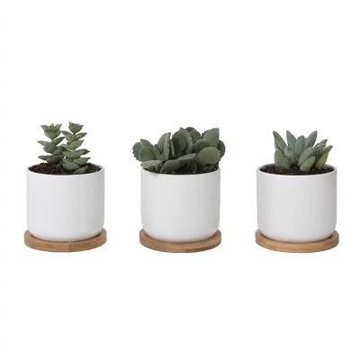 China Set of 3 Ceramic Pots for Plants 4 Inch Succulent Planter with Bamboo Tray White Glazed Flower Pot for sale