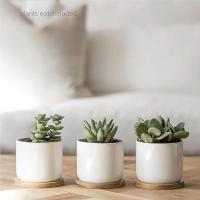 China Set of 3 Ceramic Pots for Plants 4 Inch Succulent Planter with Bamboo Tray White Glazed Flower Pot for sale