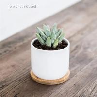 China Set of 3 Ceramic Pots for Plants 4 Inch Succulent Planter with Bamboo Tray White Glazed Flower Pot for sale