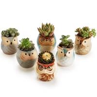 China 6pcs Ceramic Glazed Flower Pot Set Owl Shape Succulent Cactus Plant Container Bonsai Pots 24cm Box for sale