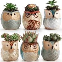 China 6pcs Ceramic Glazed Flower Pot Set Owl Shape Succulent Cactus Plant Container Bonsai Pots 24cm Box for sale
