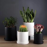 China Ceramic Cylinder Plant Pot with Tray 12x12x14 cm Matte White Black Grey Modern Succulent Planter for sale