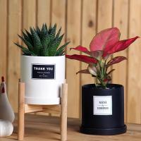 China Ceramic Cylinder Plant Pot with Tray 12x12x14 cm Matte White Black Grey Modern Succulent Planter for sale