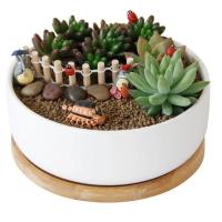 China 6.2 Inch Modern Ceramic Flower Pot for Succulent Cactus with Drainage Bamboo Tray 16x5.5 cm for sale