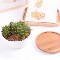 China 6.2 Inch Modern Ceramic Flower Pot for Succulent Cactus with Drainage Bamboo Tray 16x5.5 cm for sale