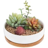 China 6.2 Inch Modern Ceramic Flower Pot for Succulent Cactus with Drainage Bamboo Tray 16x5.5 cm for sale