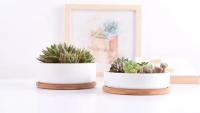 China 6.2 Inch Modern Ceramic Flower Pot for Succulent Cactus with Drainage Bamboo Tray 16x5.5 cm for sale
