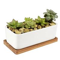 China Decorative Garden White Ceramic Succulent Planter Ceramic Cactus Flower Pot Plant Pot with Bamboo Tray (Rectangular) for sale