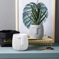 China 5.5 Inch Nordic Abstract Human Face Cement Succulent Flowerpot for Home Garden Planters 12.5x14 cm for sale