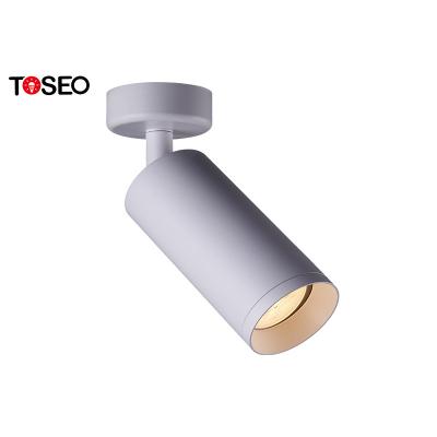 China Adjustable LED Ceiling Spotlights Surface Mounted 35W Ra80 Aluminum 60x130mm for sale
