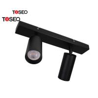 China IP20 Surface Mounted Adjustable Downlight Commercial Double Head Spotlight for sale