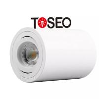 China Die-cast Aluminum LED COB Surface Mounted Ceiling Light 85mm 12V AC220V Adjustable Downlight for sale